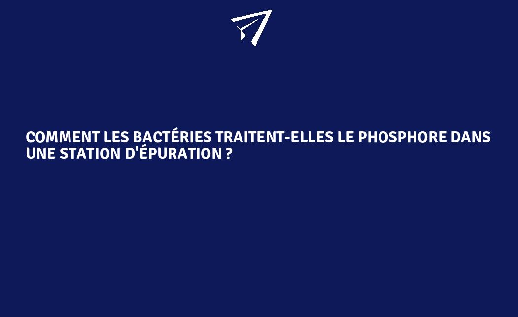Comment les bactéries traitent-elles le phosphore dans une station d ...