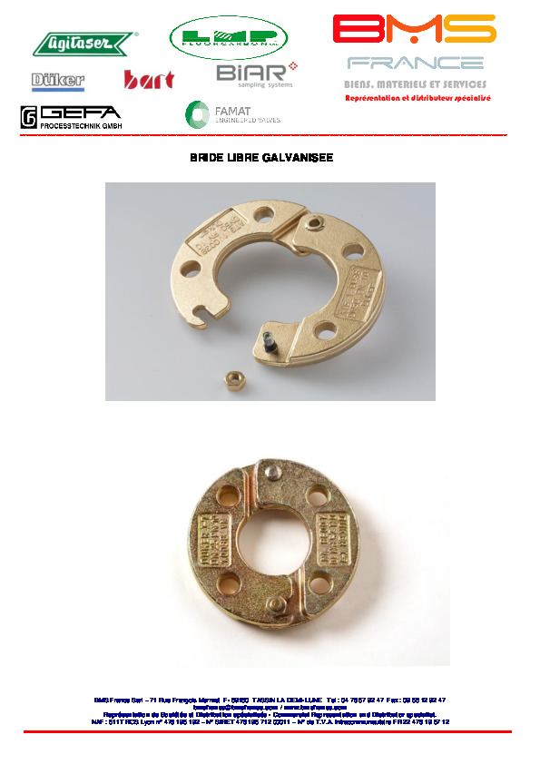 Brochure - Les brides - Bms france - FranceEnvironnement