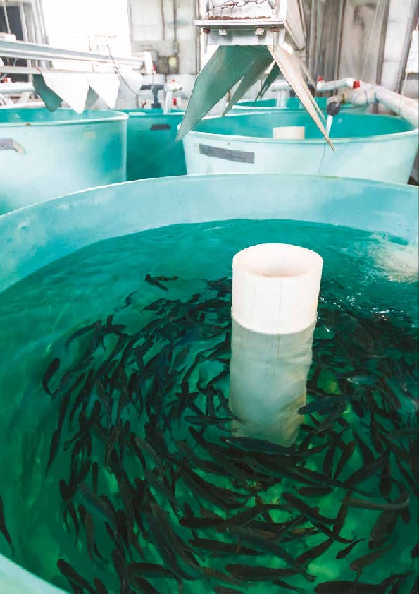 Brochure - Catalogue produits aquams 2021 - compress5mo - Aqua monitoring system s.a.s ...