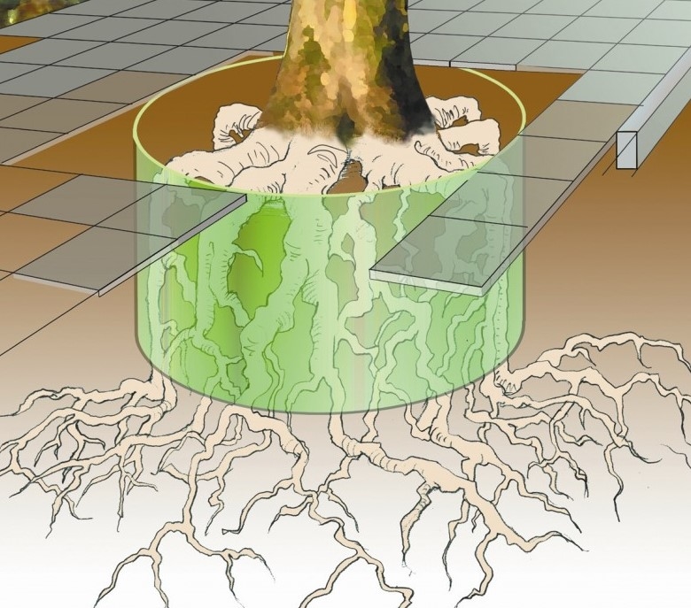 Tree Root Guide - Paroi Guide Racine (Panneaux Guide Racines - TRG ...