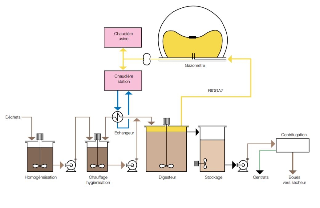 Digestion anaérobie des boues, graisses et refus de tamisage - John ...