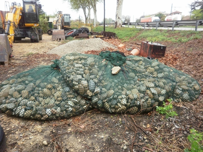 Entretien des berges de rivière - FranceEnvironnement