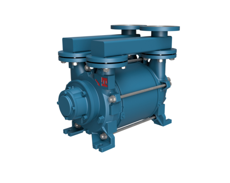 TRS (Pompe à vide à anneau liquide) - Pompe Travaini® - FranceEnvironnement